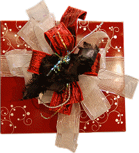 Cranberry Box Package, red organza wired ribbon gift wrapped bow video ...