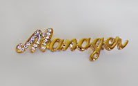 Manager Pin