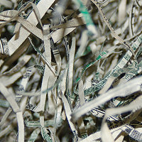 Real Shredded Money, real shredded money dollar bills currency US - My ...